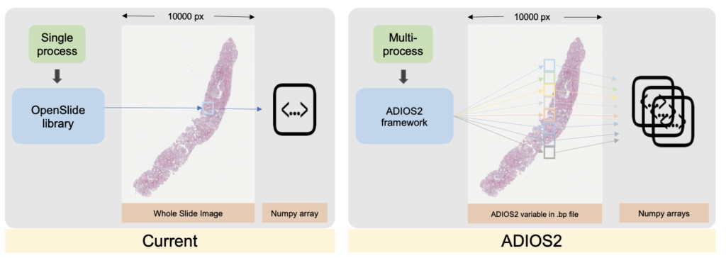 High-performance Data Management for Whole Slide Image Analysis in Digital Pathology | VALIANT ...
